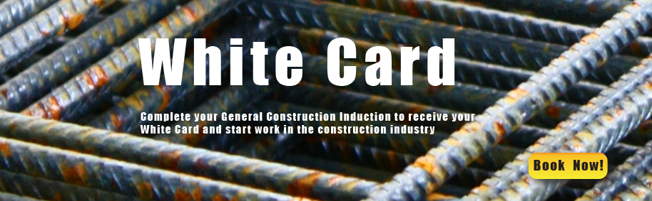 white-card | Catch Training